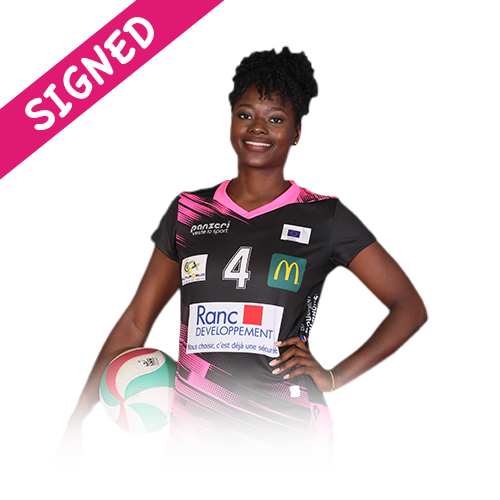 Our players - Image4sport Volley